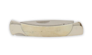 Buck Knives 055 Mini 110 Folding Hunter Drop Point Bone Pocket Knife ...