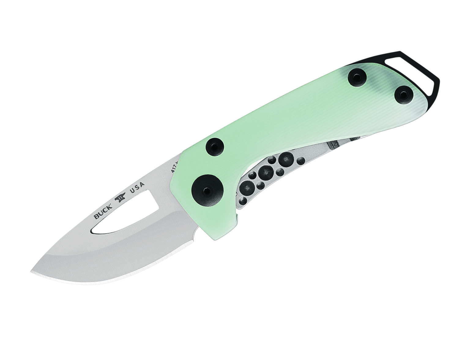 Buck Knives 417 Budgie Compact Folding Knife 2″ S35VN Drop Point Translucent Jade G10 and ...