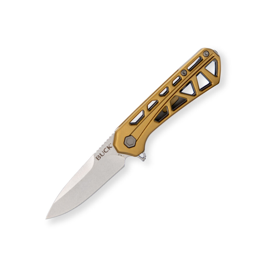 Buck Knives 814 Mini Trace Folding Knife, 2.43″ 7Cr17 Drop Point Blade ...