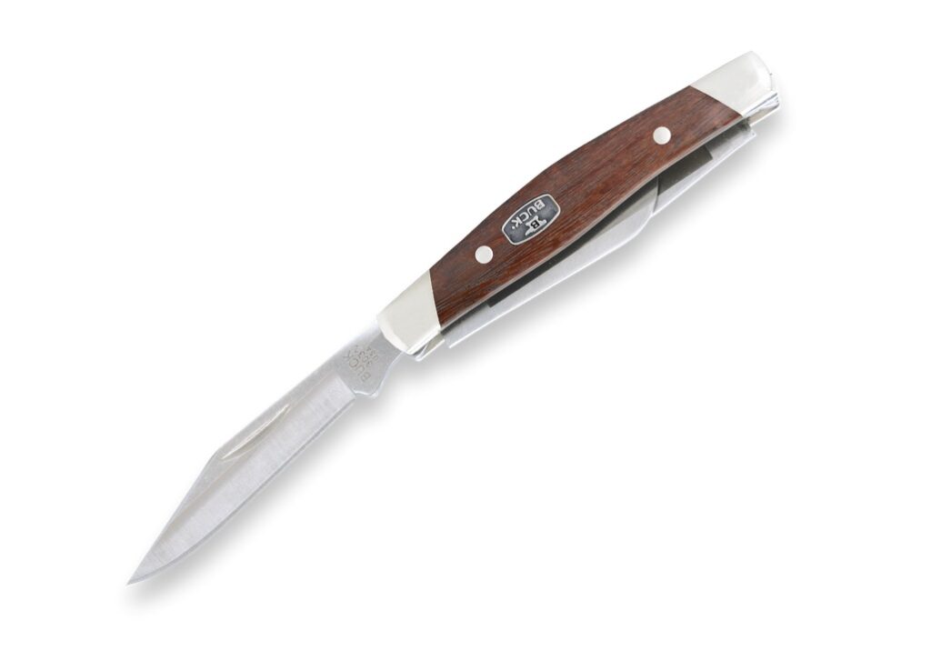 Buck Knives 303BRS3 Cadet Folding Pocket Knife, 3.25″ 420HC Blade(s ...